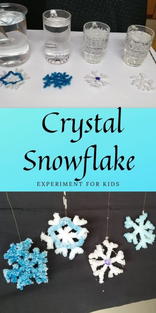 DIY Amazing Crystal Snowflakes ( Science Project for Kids) - Go Science ...