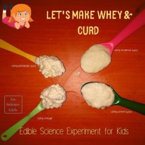 How to make Curds and Whey - Go Science Girls