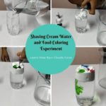 25 Amazing Science Experiments with Food Color