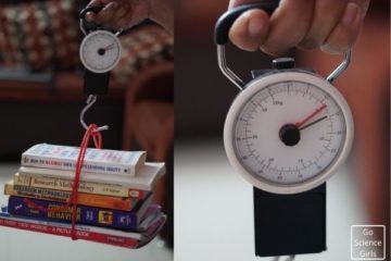 How Strong is an Egg Shell? Strength of Eggshell Bridge