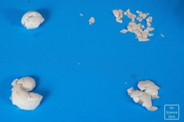 How Strong is an Egg Shell? Strength of Eggshell Bridge