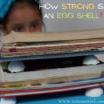 How Strong is an Egg Shell? Strength of Eggshell Bridge