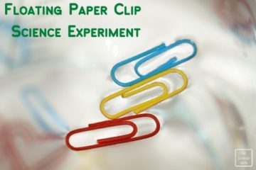 How to Make Paper Clips to Float on Water? Science Fair Project with Explanation