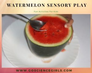 Cool Watermelon Science Experiments for Kids - Go Science Girls