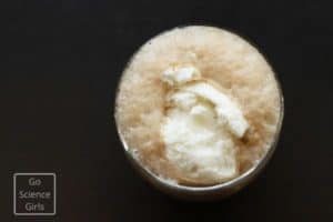 Root Beer Floats - Explore States of Matter - Go Science Girls