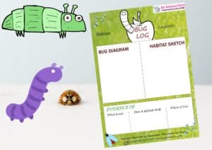 Free Printable Science Journal for Kids (25+ Journals for Middle Schoolers)